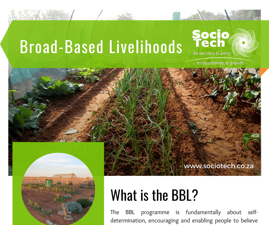 What is the BBL? What is Phinda-Phinda? - SocioTech